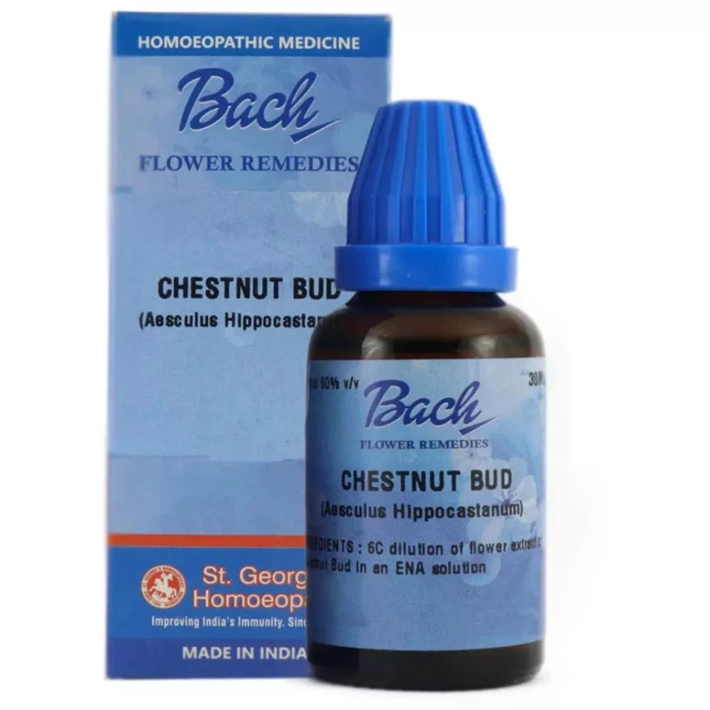 St. George Bach Flower Chestnut Bud - 30 ml - Organic Wellnesses