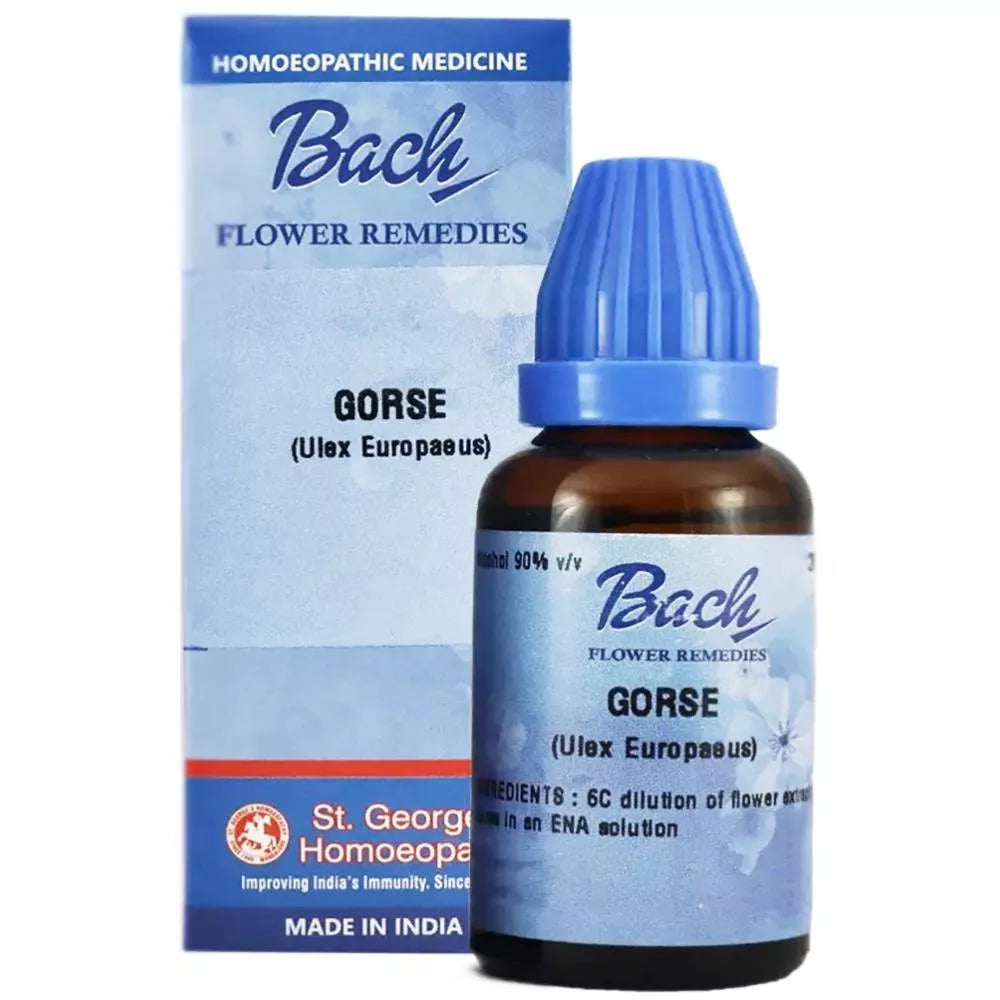 St. George Bach Flower Gorse - 30 ml - Organic Wellnesses