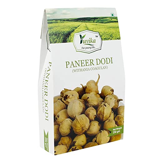 Yuvika Paneer Dodi - Paneer Ke Phool - Withania Coagulan - Organic ...