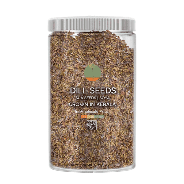 Try Our Herbs Dill seeds - Organic Wellnesses